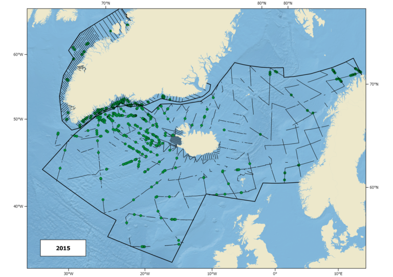 Fin Whale - NAMMCO